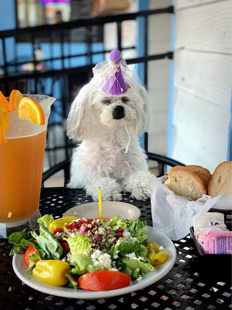 COSTAS RESTAURANT - Updated October 2025 - 350 Photos & 296 Reviews ...