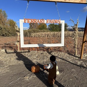 FERRARI FARMS - Updated December 2024 - 175 Photos & 68 Reviews - 4701 ...
