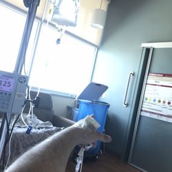 PRESBYTERIAN RUST MEDICAL CENTER - 100 Photos & 86 Reviews - 2400 Unser ...