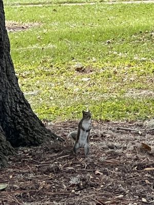 LAKE SHIPP PARK - Updated October 2025 - 77 Photos - 1605 Lake Shipp Dr ...