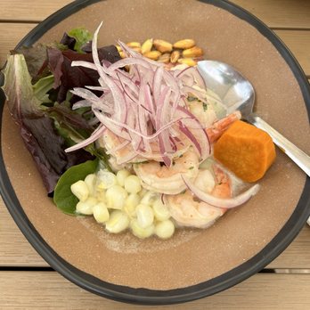 PISCO EXPRESS - Updated July 2025 - 160 Photos & 79 Reviews - 9717 ...