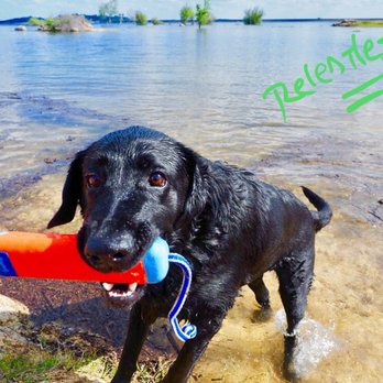 BEALS POINT CAMPGROUND - Updated June 2024 - 53 Photos & 28 Reviews ...