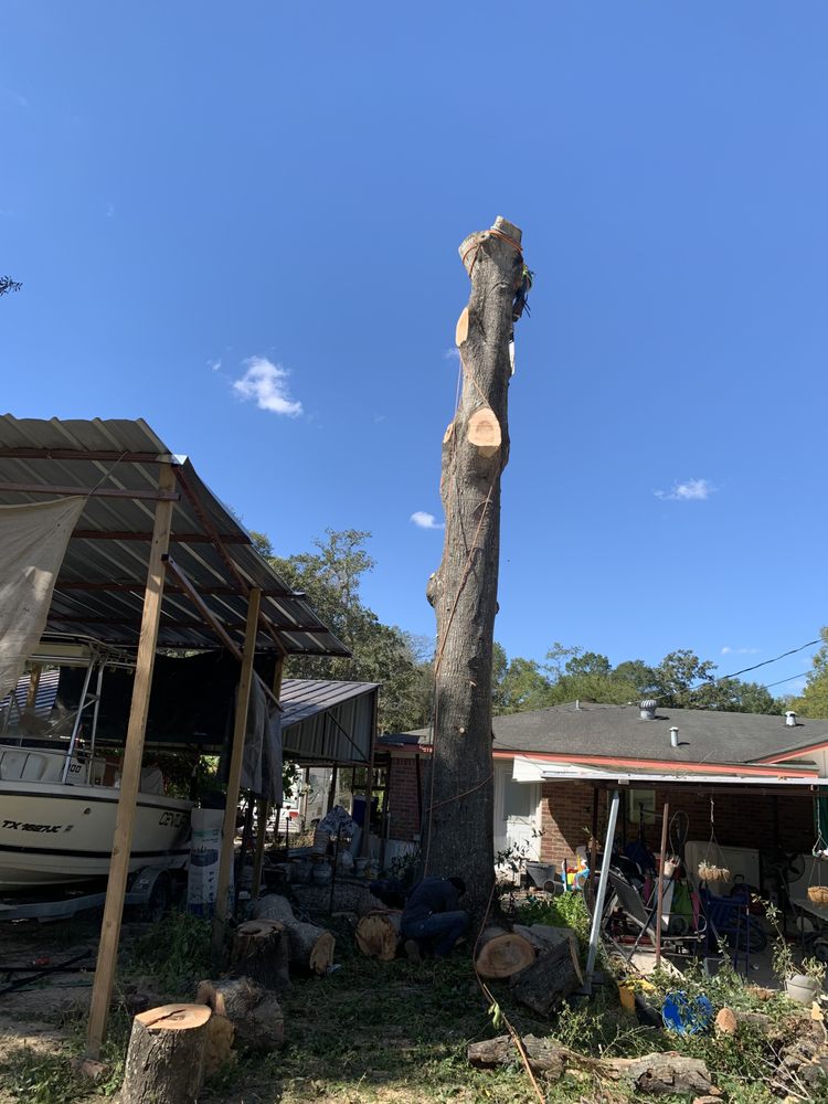 ERICK’S TREE SERVICES - Updated July 2024 - Houston, Texas - Tree ...