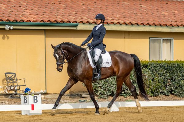 REGAL EQUESTRIAN - 13 Photos - 11270 Dominica Ave, Lake View Terrace ...