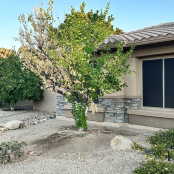 HAYWARD TREE SERVICE - Updated December 2025 - 109 Photos & 156 Reviews ...