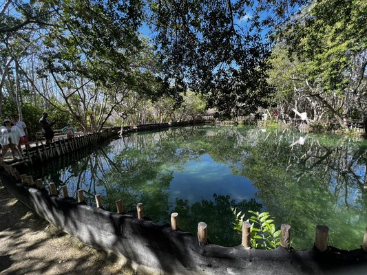 YUCATAN CENOTE - Updated April 2025 - 57 Photos - Progreso, Yucatán ...