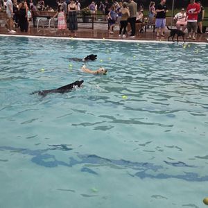 JUANITA AQUATICS CENTER - Updated January 2025 - 10601 NE 132nd St ...