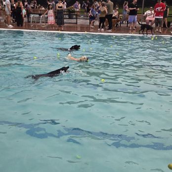 PETER KIRK POOL - Updated August 2025 - 40 Photos & 14 Reviews - 340 ...