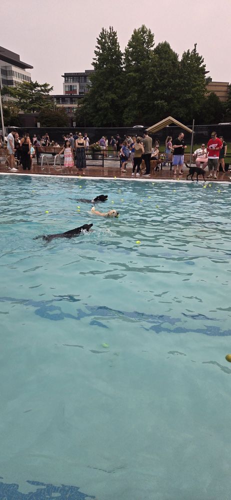 PETER KIRK POOL - Updated November 2024 - 10 Photos & 13 Reviews - 340 ...