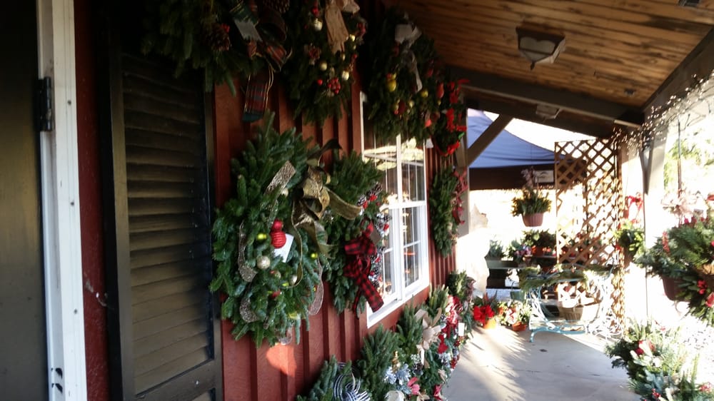 EMERSON FAMILY CHRISTMAS TREE FARM - Updated July 2025 - 15 Photos ...