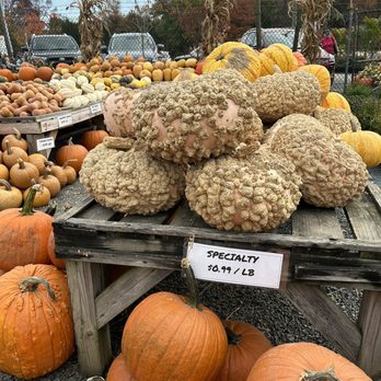 NALLS PRODUCE - Updated October 2025 - 394 Photos & 139 Reviews - 7310 ...