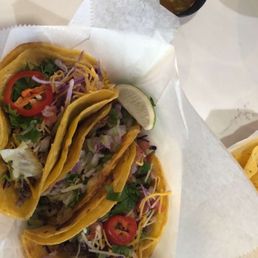 TACO ZOCALO - Updated September 2025 - 269 Photos & 502 Reviews - 1810 ...