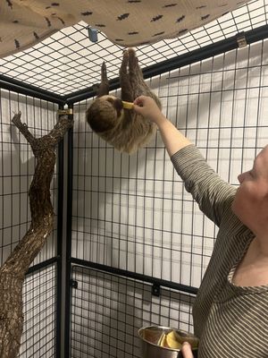 FUNKY MONKEY RANCH - Updated October 2025 - 52 Photos - 4965 Oak Grove ...