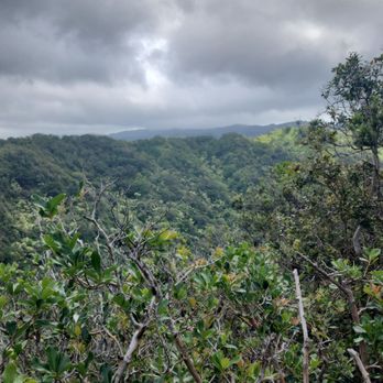 AIEA LOOP TRAIL - Updated July 2025 - 1444 Photos & 318 Reviews - 99 ...