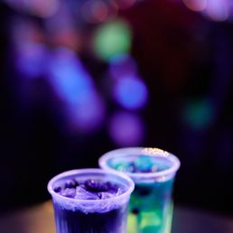 ELIXIR TEA BAR - Updated July 2024 - 874 Photos & 346 Reviews - 1779 ...