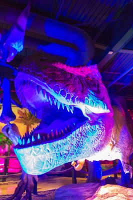 ARIZONA BOARDWALK - Updated December 2025 - 142 Photos & 41 Reviews ...