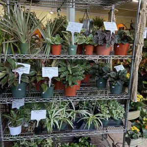 METROLINA GREENHOUSES - Updated May 2025 - 16400 Huntersville Concord Rd, Huntersville, North ...