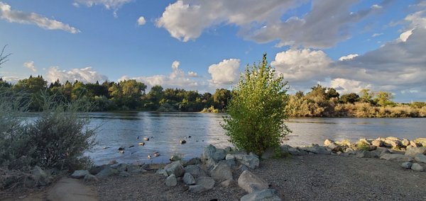 AMERICAN RIVER BIKE TRAIL - 621 Photos & 188 Reviews - Sacramento, California - Hiking - Yelp