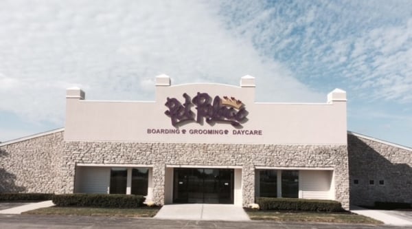 PET PALACE - INDIANAPOLIS/CARMEL - Updated July 2025 - 35 Reviews ... PET PALACE - INDIANAPOLIS/CARMEL - Updated July 2025 - 35 Reviews ...