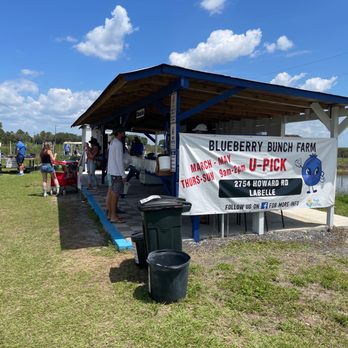 BLUEBERRY BUNCH FARM - TEMP. CLOSED - Updated October 2025 - 98 Photos ...