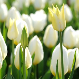 ERIC GEORGE, DMD & ASSOCIATES - Updated December 2025 - 19 Photos & 57 ...