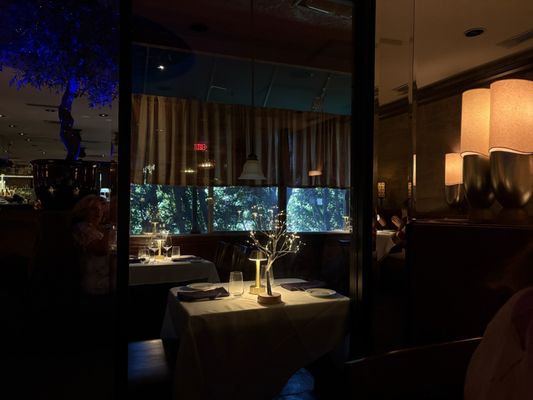 FOXY’S KITCHEN + BAR - Updated October 2025 - 72 Photos & 115 Reviews ...