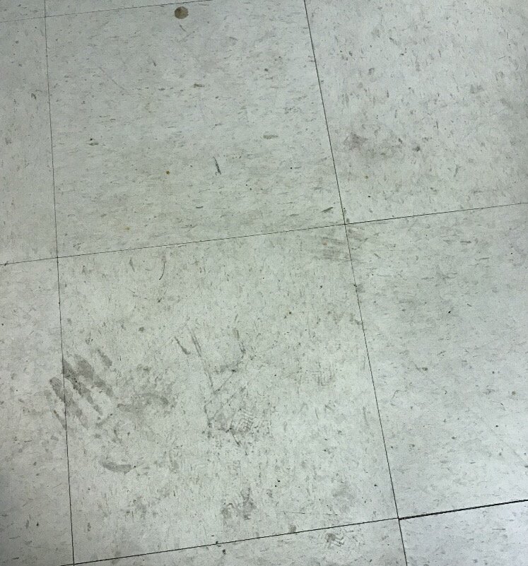 HARVEST MANOR NURSING HOME - Updated January 2026 - 9171 Cockerham Rd ...