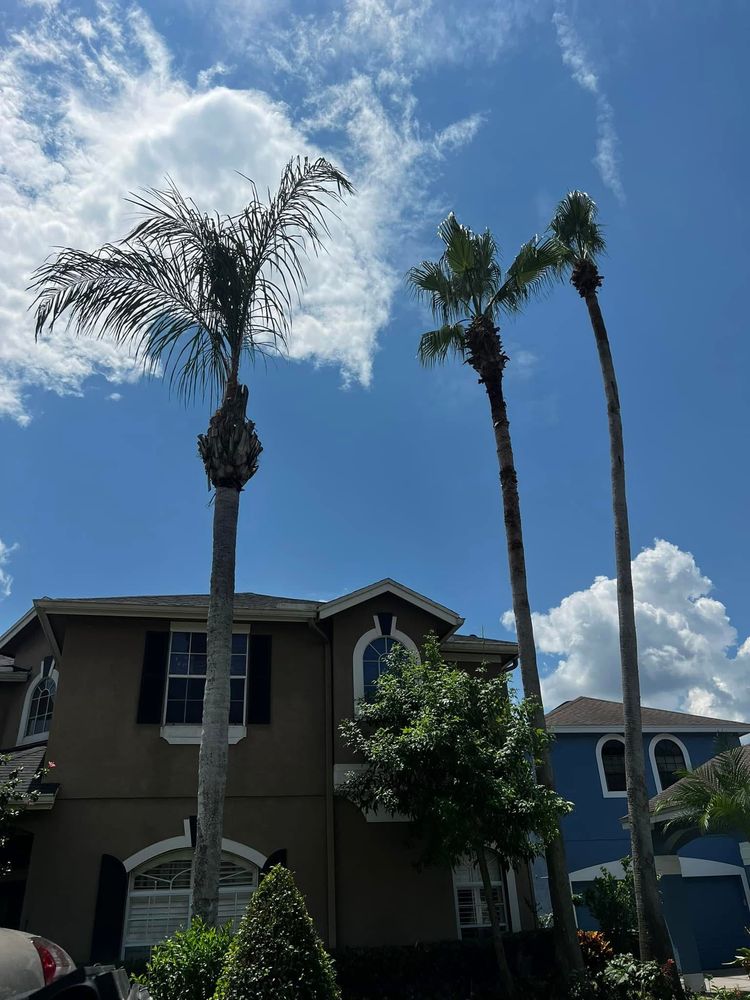 MAKO BROTHERS - Updated December 2025 - 11 Photos - 205 Clearview Rd ...