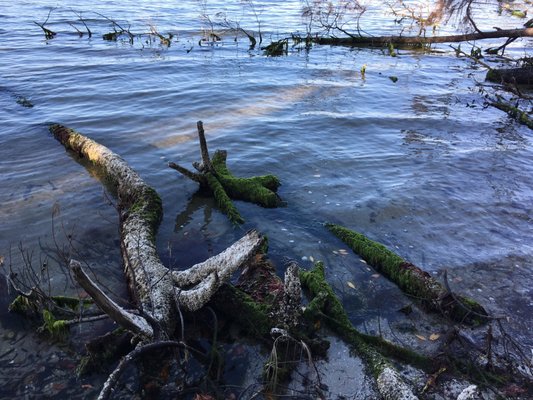 LONG POINT PARK - 29 Photos & 13 Reviews - 700 Long Point Rd, Melbourne ...