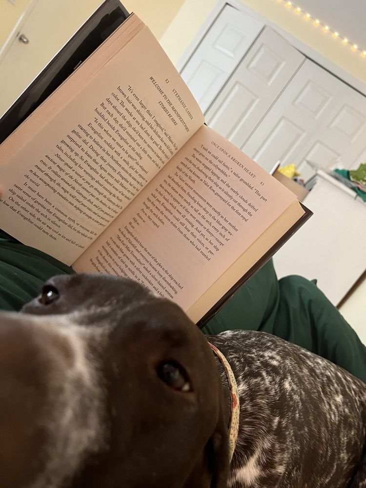 COMMERCE TOWNSHIP COMMUNITY LIBRARY - Updated July 2025 - 16 Photos ...