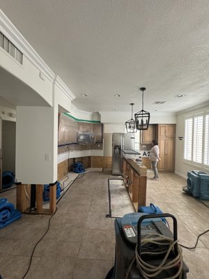 QUICK DRY RESTORATION - Updated November 2025 - 47 Photos & 106 Reviews - 1051 Mary Crest Rd ...