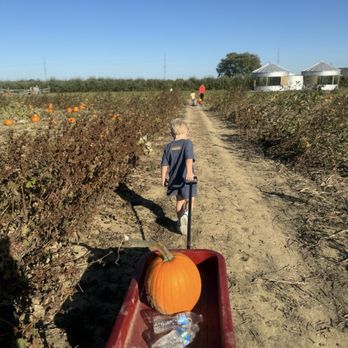 TUTTLE ORCHARDS - Updated June 2025 - 544 Photos & 248 Reviews - 5717 N ...