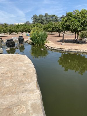 CSUN POND - Updated August 2025 - 333 Photos & 84 Reviews - 18111 ...