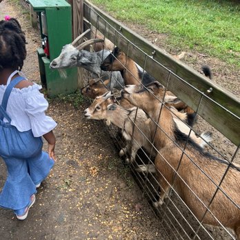 CLARK’S ELIOAK FARMS - Updated July 2025 - 382 Photos & 133 Reviews ...