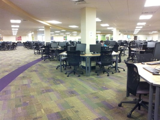 UNIVERSITY OF SOUTH FLORIDA LIBRARY - Updated October 2025 - 10 Reviews - 4101 USF Apple Dr ...