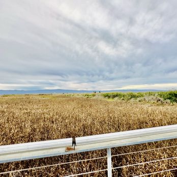 ALVISO MARINA COUNTY PARK - Updated April 2024 - 1482 Photos & 207 ...