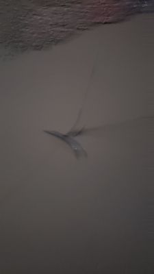 WENSHA SPA CENTER - 17 Reviews - Ccp Complex, Roxas Boulevard Corner ...