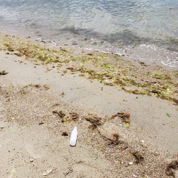 OAKLAND BEACH - Updated June 2025 - 134 Photos & 62 Reviews - Oakland ...