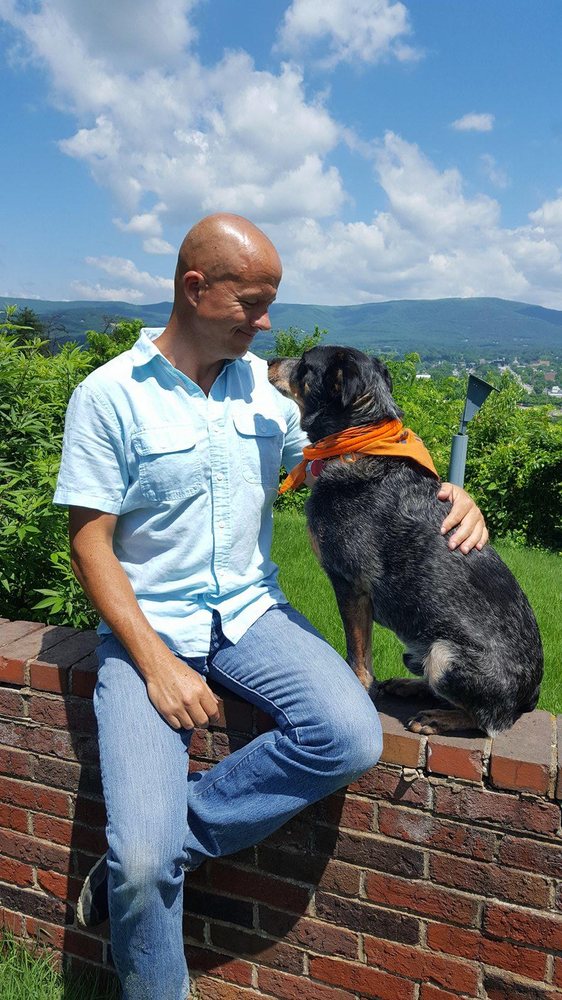 ROANOKE ANIMAL CHIROPUNCTURE - Updated July 2025 - 14 Photos - 3912 ...