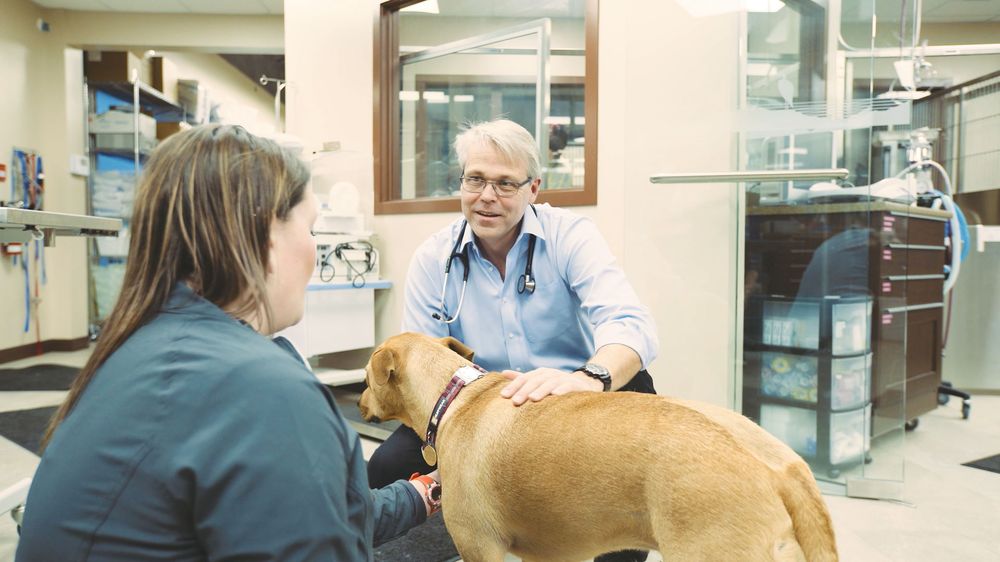 BOUNDARY BAY VETERINARY SPECIALTY HOSPITAL - Updated October 2025 ...