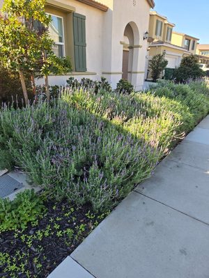RIGHT WAY CURB APPEAL - Updated May 2026 - 130 Photos & 10 Reviews - PO ...
