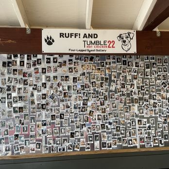 TUMBLE 22 - Updated May 2025 - 386 Photos & 384 Reviews - 2304 Lake ...