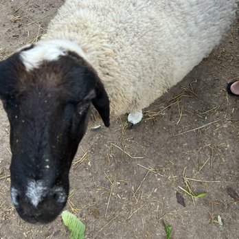 MARANDO FARMS & RANCH - Updated July 2024 - 280 Photos & 101 Reviews ...