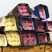 HUNTS POINT FLOWER MARKET - 37 Photos & 25 Reviews - 1152 Randall Ave ...