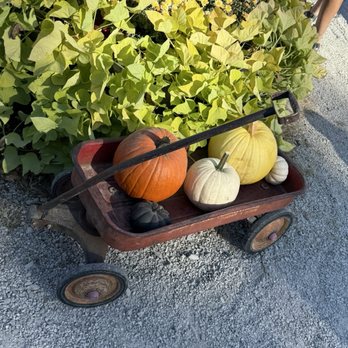 THIES FARM & MARKET - Updated January 2026 - 12 Photos - 14101 Creve ...