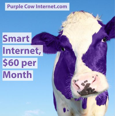 PURPLE COW INTERNET - Updated December 2025 - 13 Photos & 27 Reviews ...