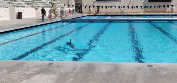 JOHN C ARGUE SWIM STADIUM - Updated August 2025 - 45 Photos & 33 ...