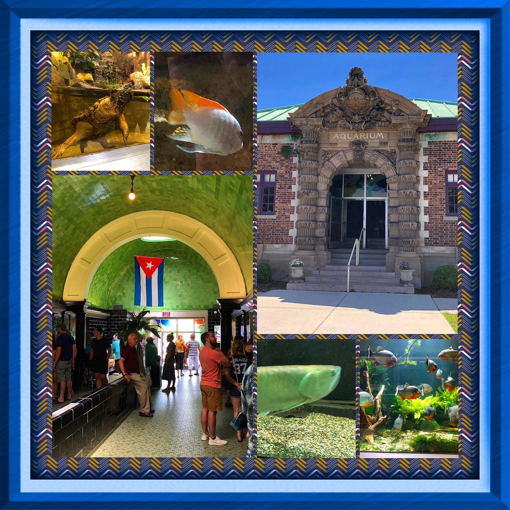 BELLE ISLE AQUARIUM - 330 Photos & 76 Reviews - 3 Inselruhe Ave ...