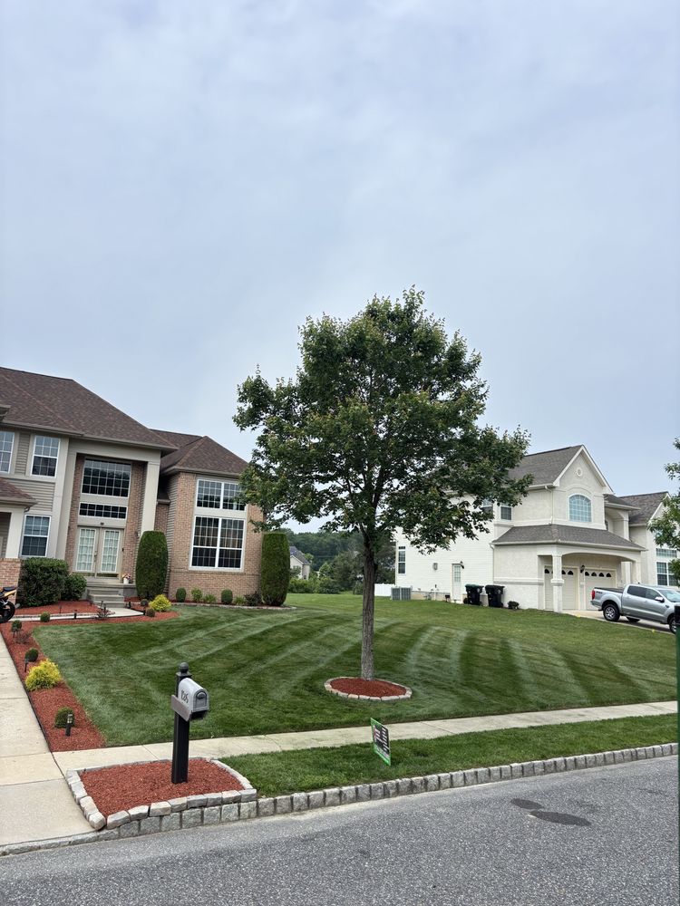 MONSTER GREEN LANDSCAPING - Updated August 2025 - 10 Photos - 3501 ...