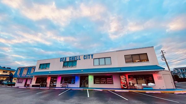 SEA SHELL CITY - Updated November 2025 - 16 Photos & 18 Reviews - 708 ...